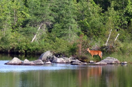 Timothy Demonbreun – Nashville Historical Newsletter