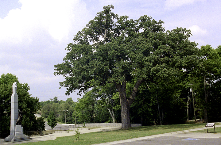 Aesop and the Wedding of Human and Natural History – Nashville ...