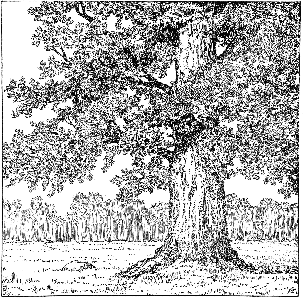 Timothy Demonbreun – Nashville Historical Newsletter